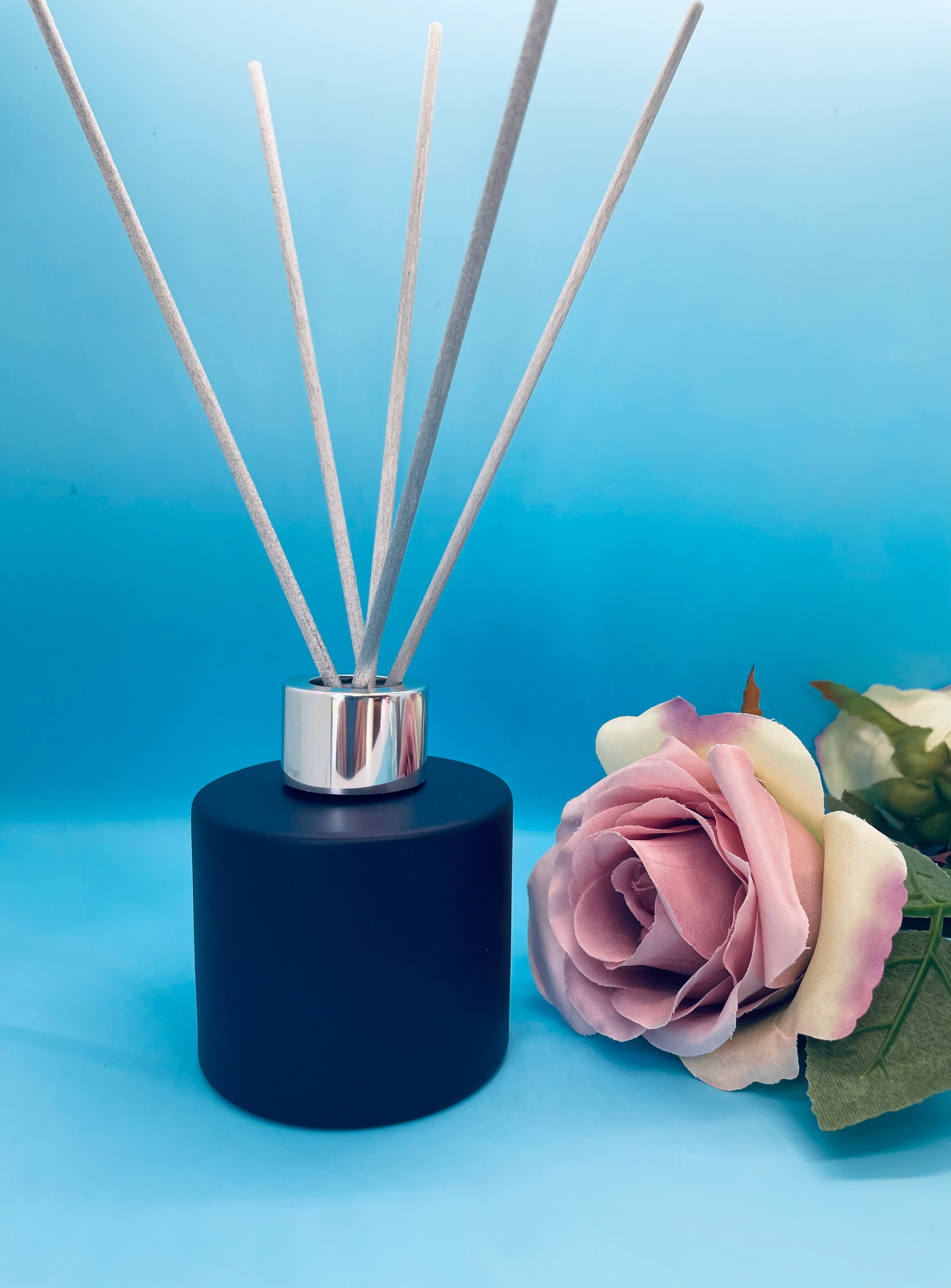 Blue Beauty and Silver Reed Diffuser 100ml - Select your scent – CandleStix